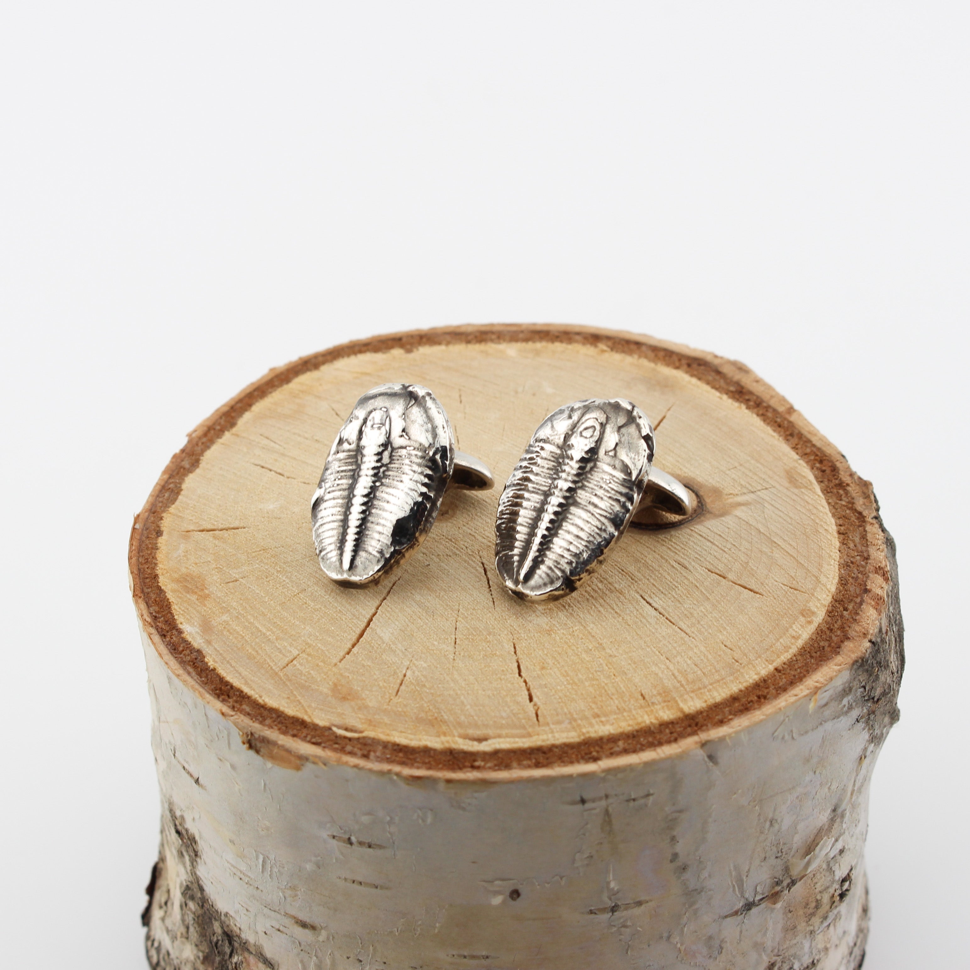 Cufflinks, Trilobite – Alberta Craft Council